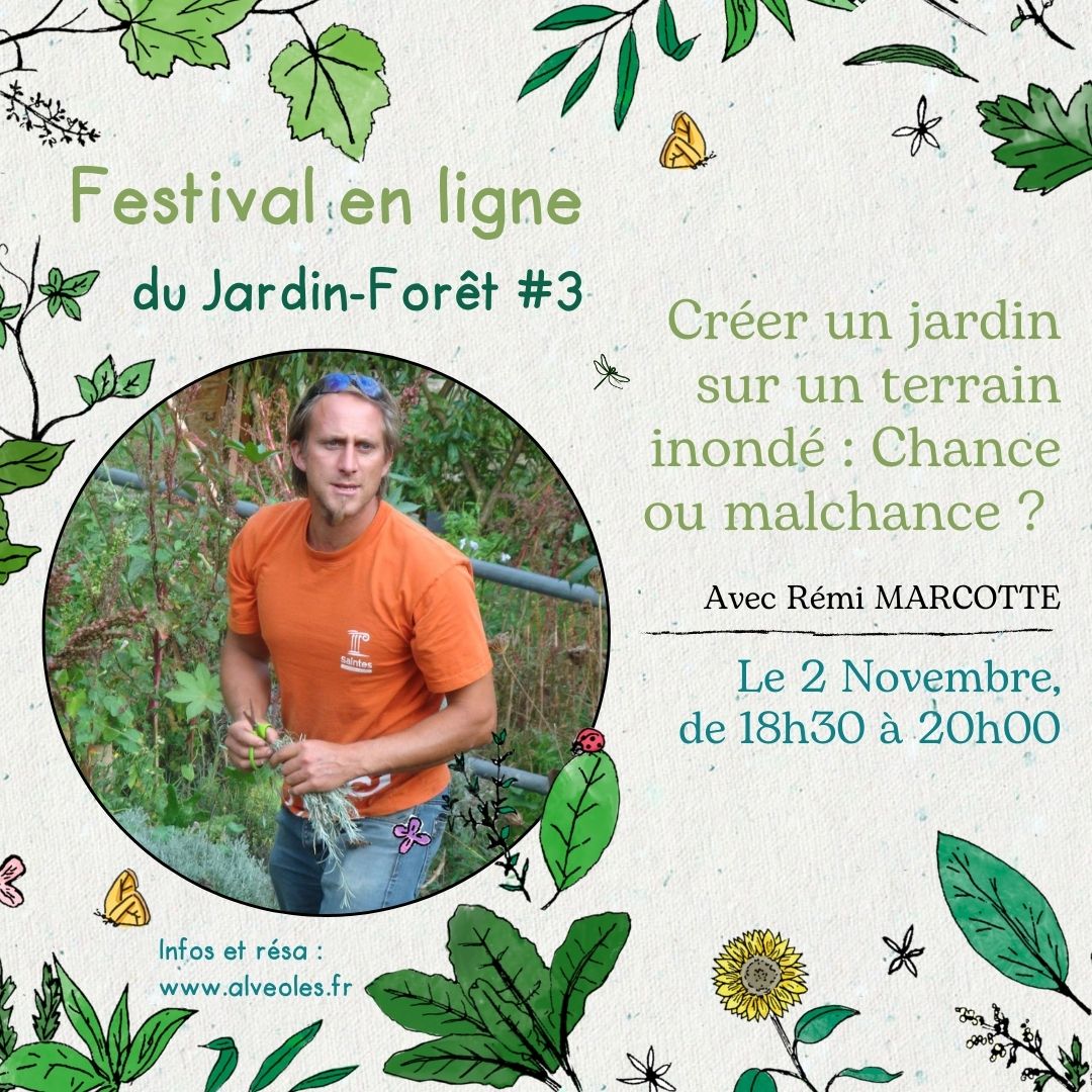 Créer un jardin sur un terrain inondé : Chance ou malchance ? | Les ...