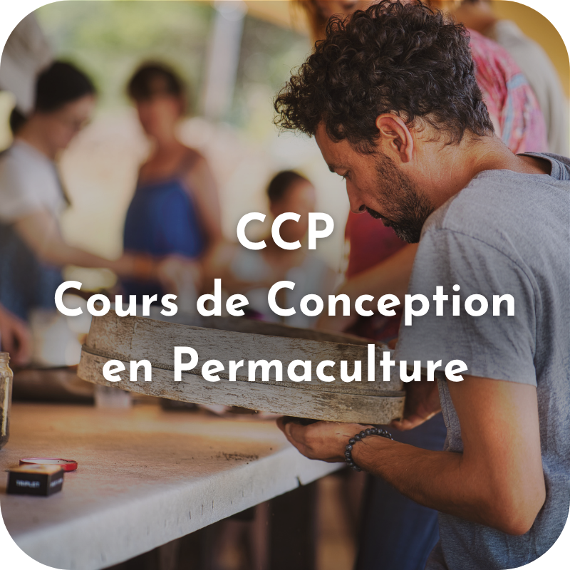 Cours de Conception en Permaculture (CCP) Aout 2025 | Les Alvéoles