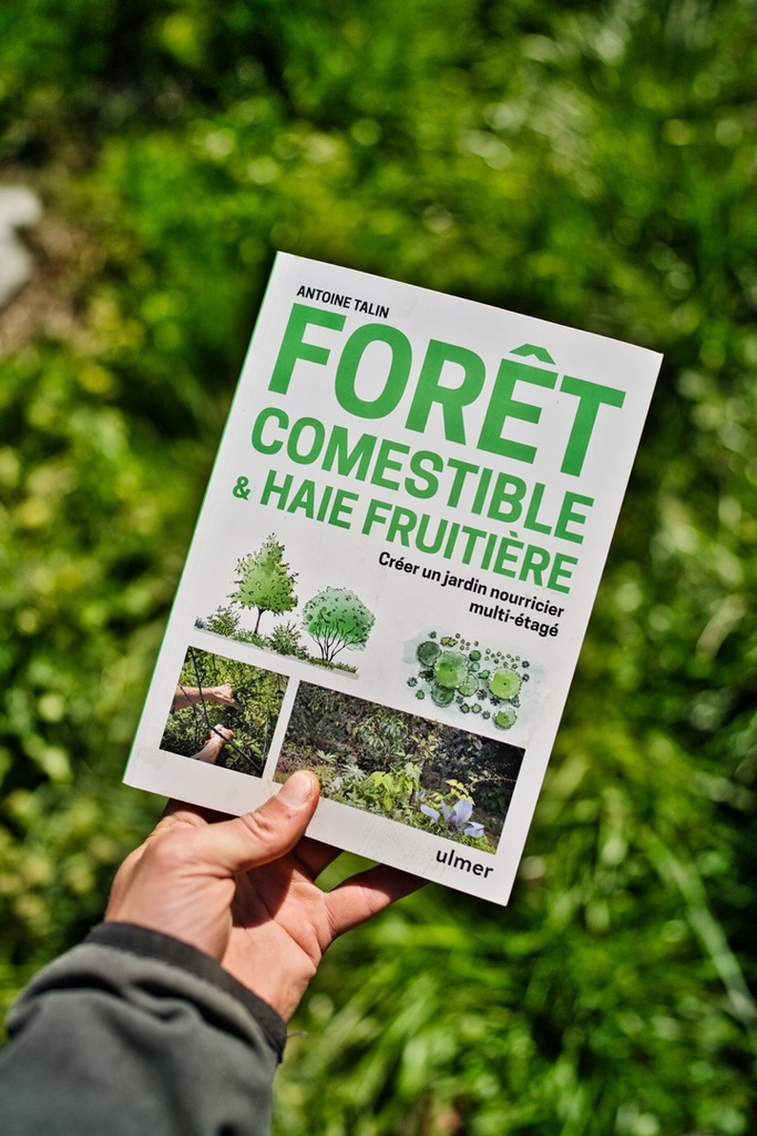 Livre « Forêt comestible et haie fruitière » - Antoine Talin– Editions Ulmer | Les Alvéoles